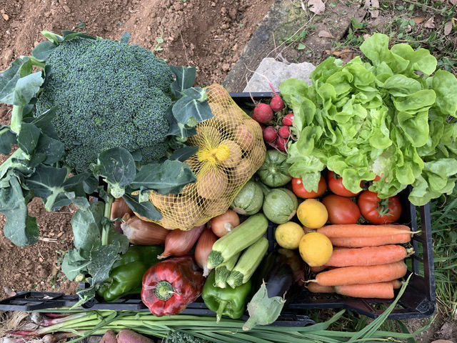 ta’ Ċikku Farmers. Mixed Vegetable Box – Fresh, Seasonal & Customizable